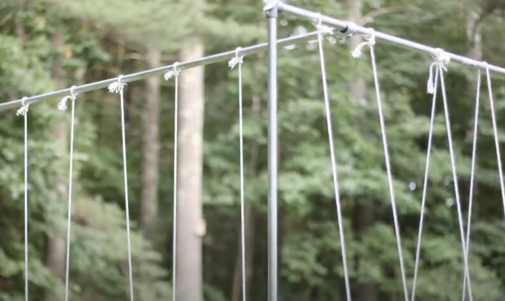 How to Build a String Trellis for Your Garden