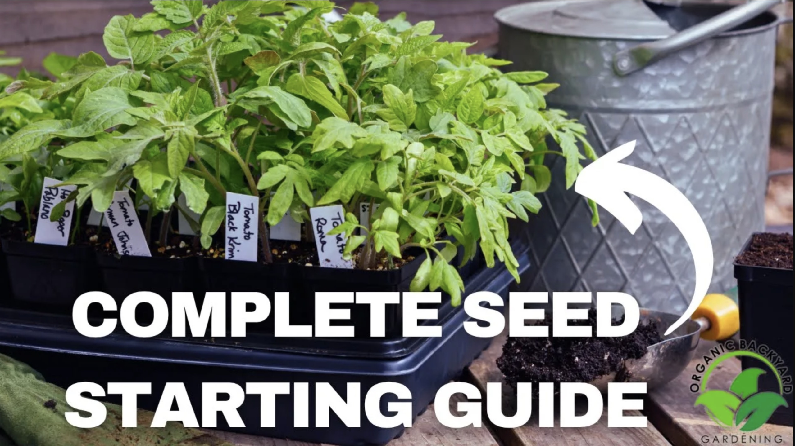 How to Start Seeds Indoors: A Step-by-Step Guide
