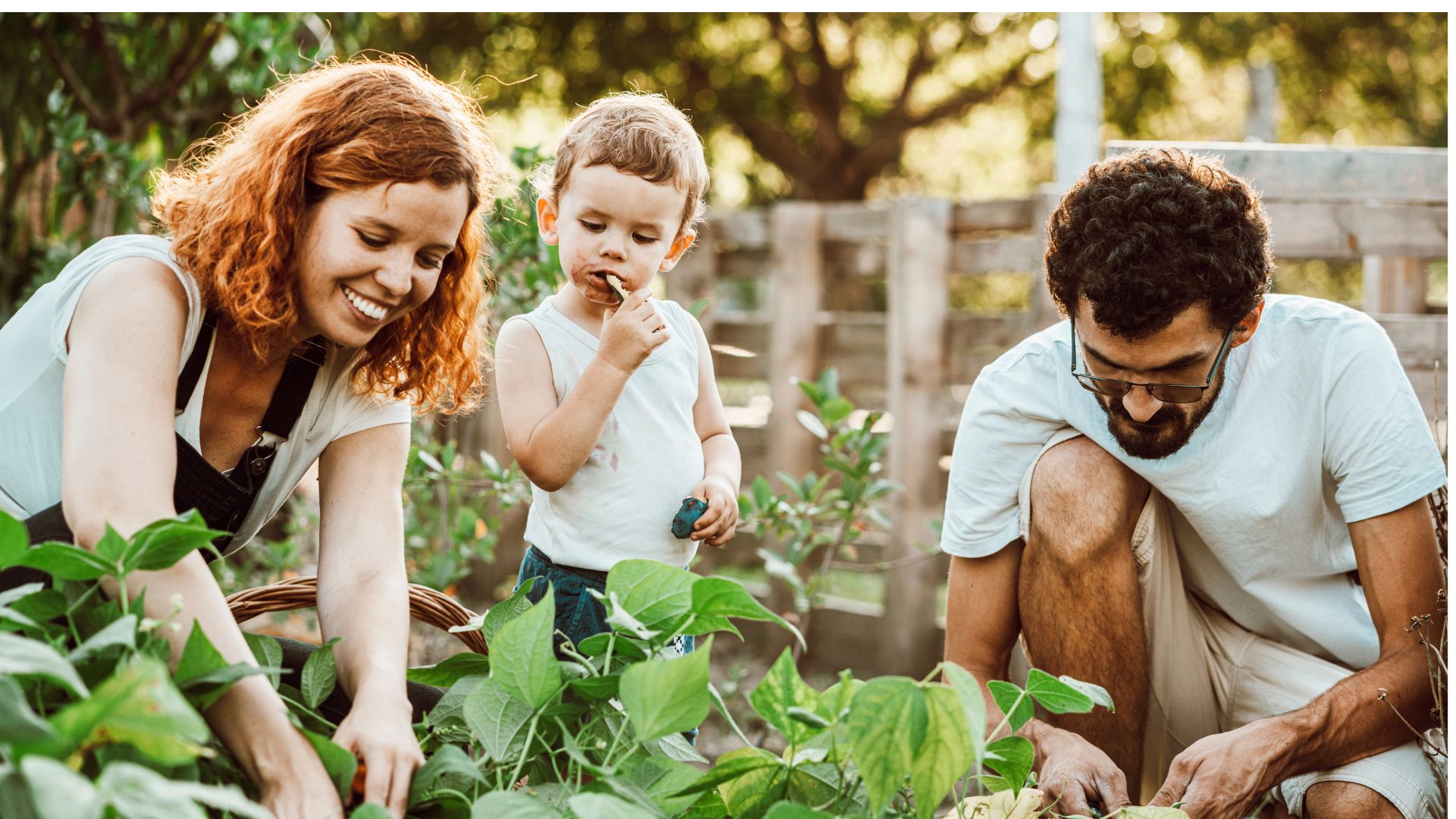 Top Gardening Statistics for 2024 - Organic Backyard Gardening